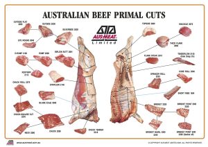 Australian Beef Primal Cuts – MIDLEVEL